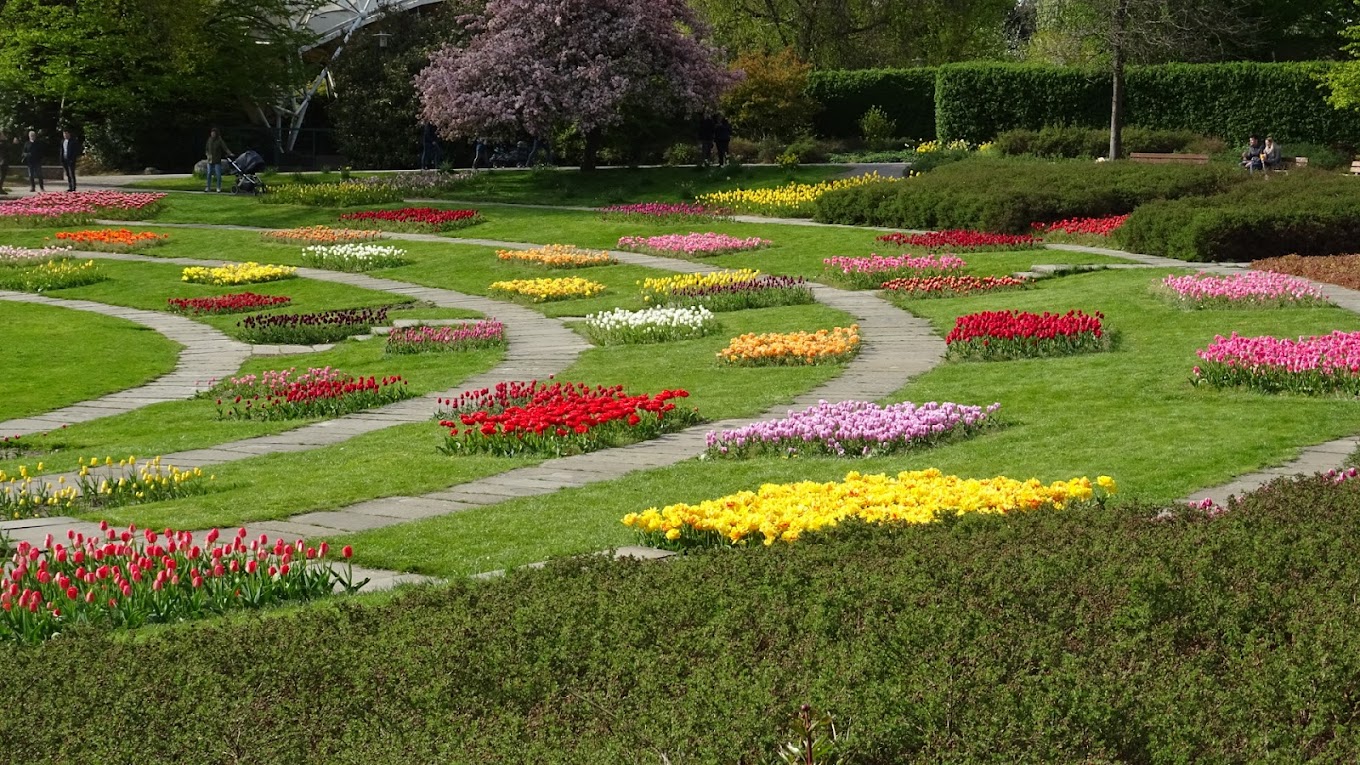 6 Must-See Aktiviteter I Essen, Tyskland | Rejseguide